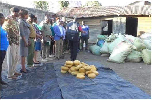 Abajura bafatanywe imifuka 26 y'urumogi barimo babagira ihene yi ...