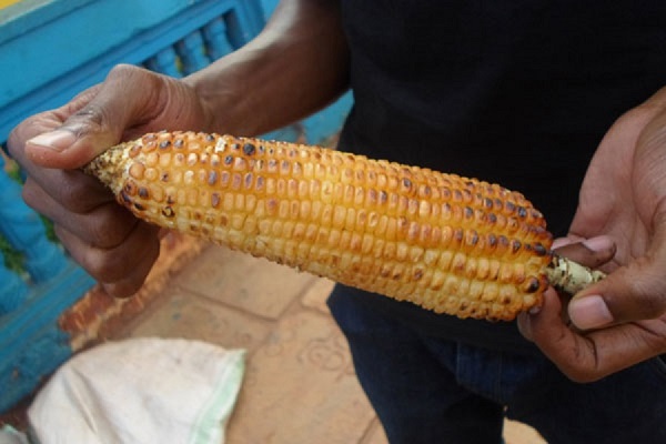 Dore impamvu ugomba kujya urya ibigori byokeje | InyaRwanda.com