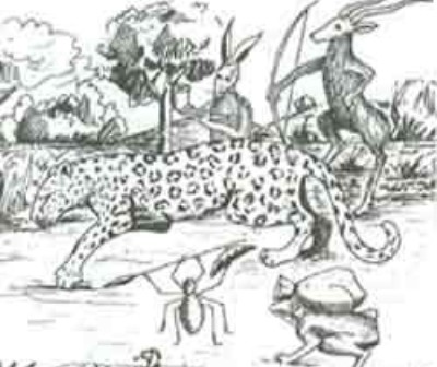 Umuco-Umugani w'Ingwe n'abagaragu bayo, Bakame, Gikeri, Mpongo n ...